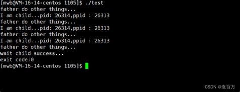 linux进程控制 含进程程序替换 sdafasdf csdn博客