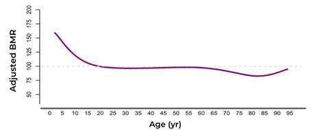What Is Basal Metabolic Rate BMR Macros Inc