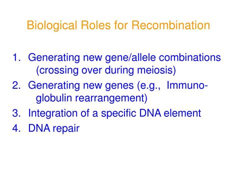 Ppt Dna Recombination Powerpoint Presentation Free Download Id 4496849
