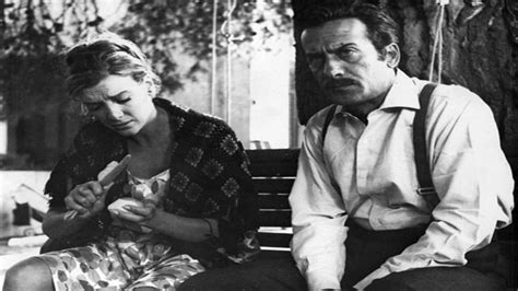 ΟΙΚΟΓΕΝΕΙΑ ΧΩΡΑΦΑ