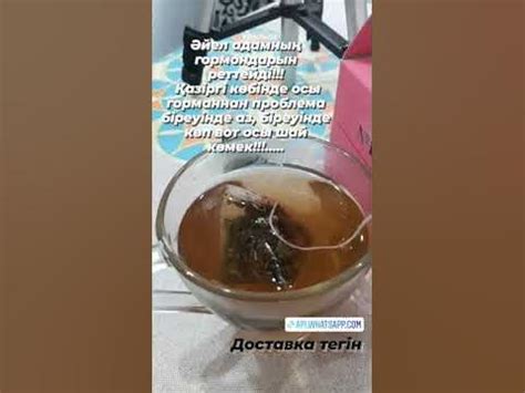 Донна белла шай. Женское здоровье. Киста, Миома, эрозия, Климкс ауруын ...