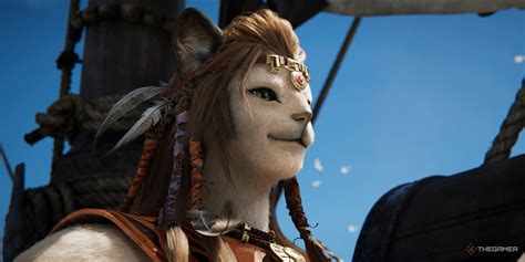 10 Final Fantasy Xiv Memes Only True Warriors Of Light Would Understand
