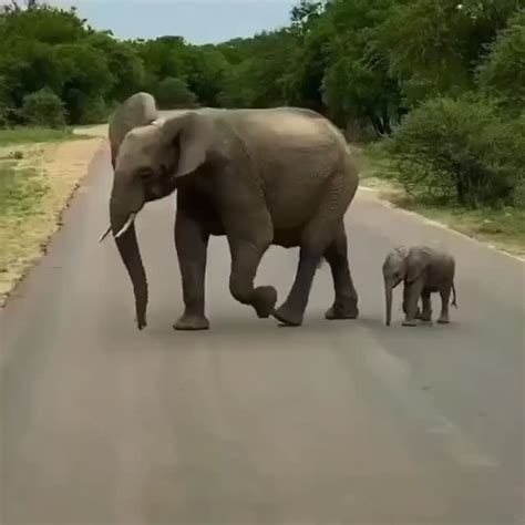 Fakiha Arshad On Linkedin Humanity Compassion Kindnessmatters Empathy Unity Gooddeeds