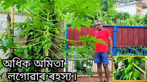 অধিক অমিতা লগোৱাৰ ৰহস্য simple steps youtube