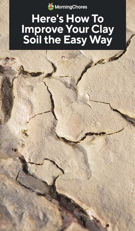 The Secret To Improving Clay Soil Its Easier Than You Think