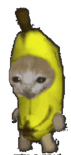 How To Make Banana Cat Meme