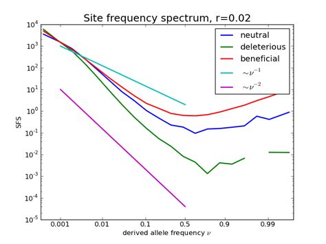 Genetic Draft Selective Interference And Population Genetics Of Rapid