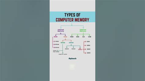 Types Of Computer Memory Computermemory Typesofmemory Memory Youtube