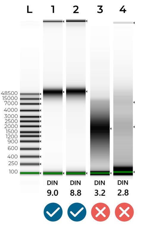 Microbesng Dna Submission
