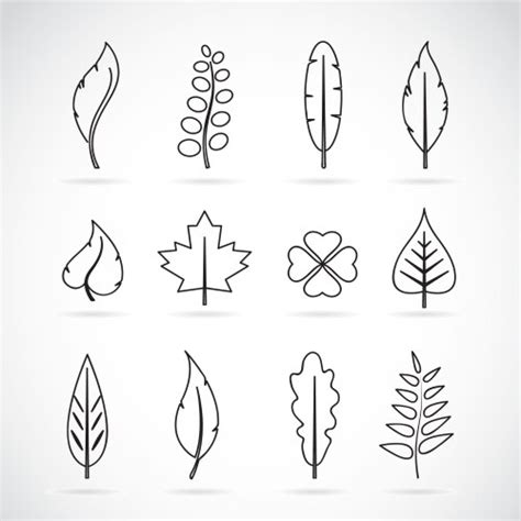Set Of Tree Icons Royalty Free Vector Image VectorStock