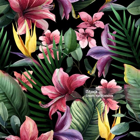 열 대 꽃 손바닥과 검은 배경에 나뭇잎의 수채화 원활한 패턴 0명에 대한 스톡 벡터 아트 및 기타 이미지 0명 극락조화 꽃 나무 Istock