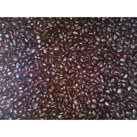 Jual KG BIJI ASEM JAWA SUDAH DI CUCI ISI BIJI Shopee Indonesia