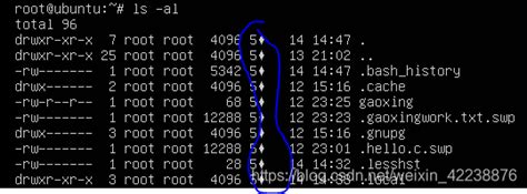 linux（ubuntu）在命令终端显示时出现乱码或者说菱形 ubuntu终端空格变成菱形 csdn博客