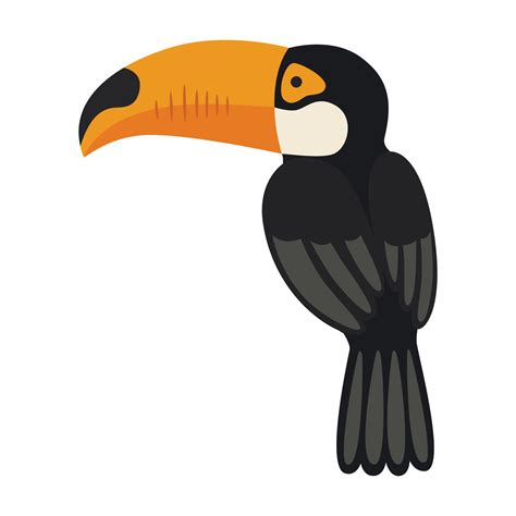 Toucan From The Back 19037728 Vector Art At Vecteezy
