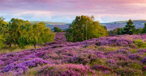 Хороскоп за 20 май 2023г Водолей В този ден ще ви бъде топло светло и радостно За Жената