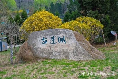 总要去一趟大连吧！一日游攻略已经准备好啦 知乎