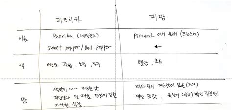 파프리카와 피망은 어떻게 달라요
