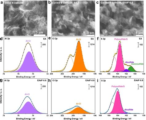 Locally Concentrated Ionic Liquid Electrolytes For Wide‐temperature