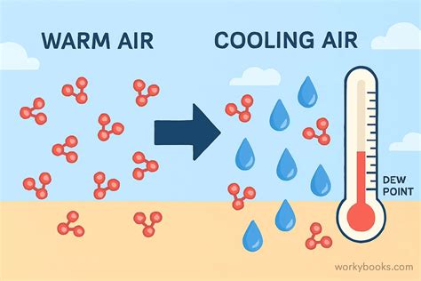 Dew Point Definition Examples Quiz Faq Trivia