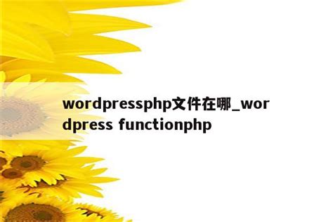 wordpressphp文件在哪 wordpress functionphp 陕西卓智工作室
