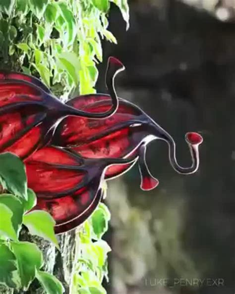 Vikram Patil On Linkedin Be With Nature 🤠