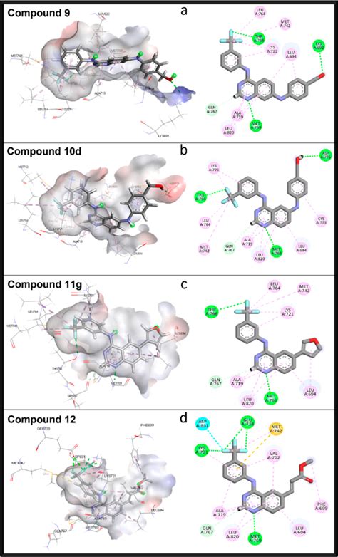 A Docked Complexes Of Compounds 9 Docking Score −870 Kcalmol