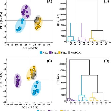 Principal Component Analysis Pca And Hierarchical Cluster Analysis Download Scientific