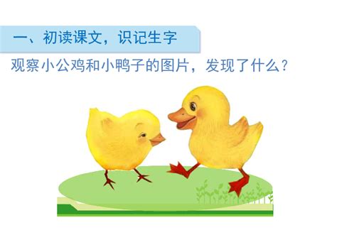 5 小公鸡和小鸭子 课件26张ppt 21世纪教育网 二一教育