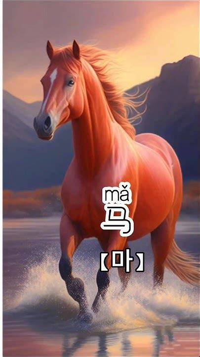 중국어 왕초보중국어 Youtube