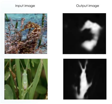ali i on linkedin python deeplearning machinelearning datascience