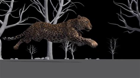 Leopard Walk And Run With Attitude Keyframe Animation By Rod Youtube