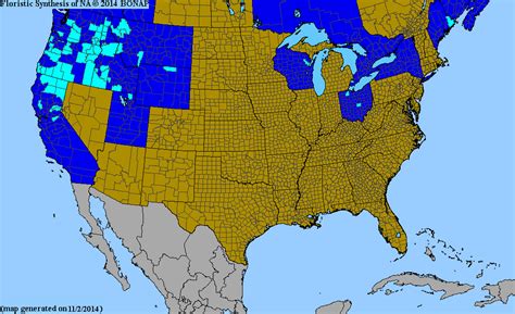 2013 Bonap North American Plant Atlas Taxonmaps