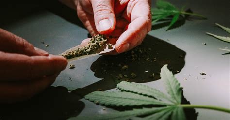 This Part Time Cannabis Reviewer Job Pays 30000 A Year To Test Weed Products Maxim