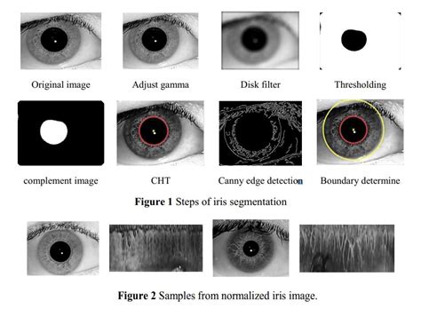 Github Vishalgarje17humam Identification Using Iris By Cnn