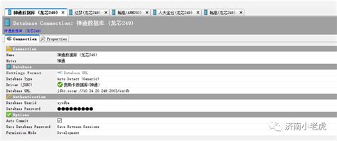 部分国产数据库神通、人大金仓、达梦、瀚高的数据库连接方式总结 墨天轮