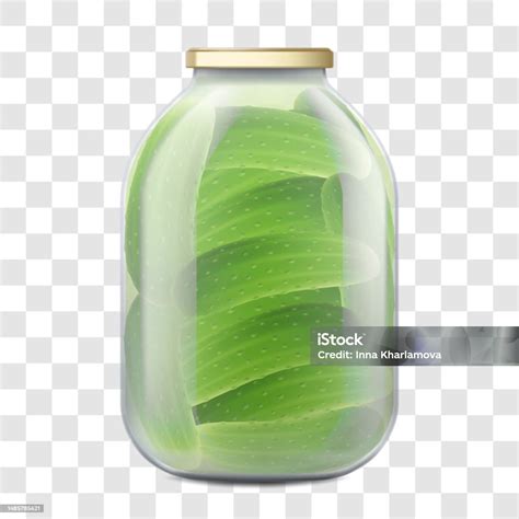벡터 피클 항아리 그림입니다 항아리 안의 오이는 절일 준비가 되어 있습니다 유리병 안에 있는 오이의 사실적인 3d 벡터 디자인 요소 통조림 오이 흰색 배경에 격리되어