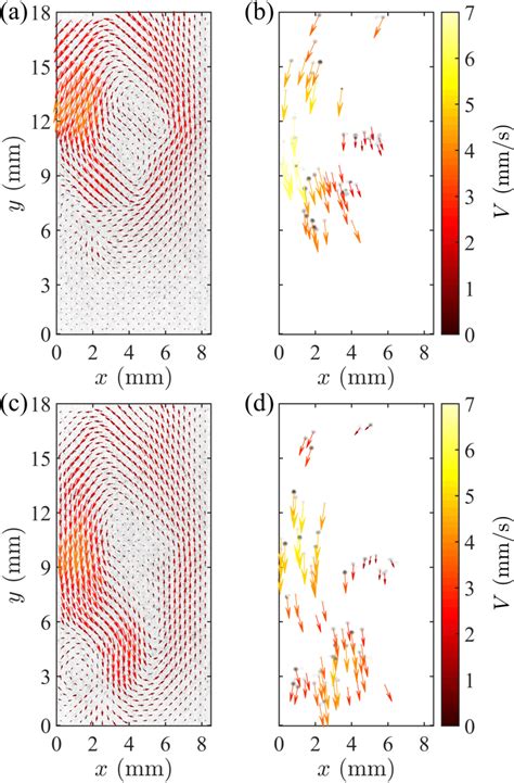 Simultaneous Velocity Vectors Of Bam Eu 2 Tracers Left And Pmma