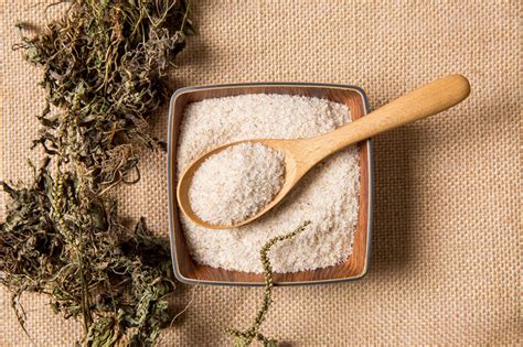 변비 해소에 좋다고 알려진 ‘이 씨앗 껍질… 콜레스테롤 낮추는 효과까지