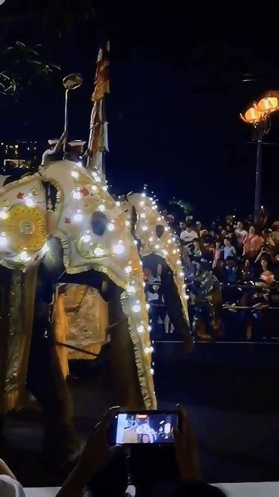 මගේ රටට දළදා හිමි සරණයි 🙇🙇🙇🇱🇰 Travel Tourismnews Sri Lanka Beautiful Short Video Youtube