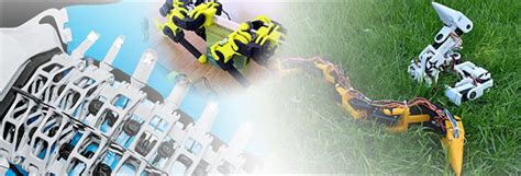 Diy Robot Mauro Alfieri Wearable Domotica Robotica