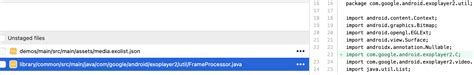 Currently Dev Branch Is Missing An Import In FrameProcessor Issue