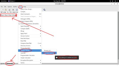 Why A Minimal Browser When There Is A Full Featured One Introducing`xwidget Webkit` A State