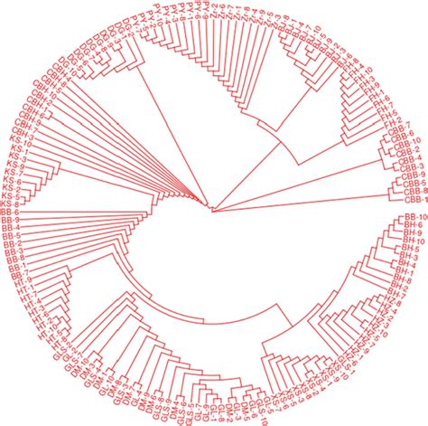 Neighbor Joining Tree Generated Based On Simple Matching Dissimilarity