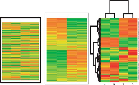 Figure 1 From Exploring Gene Expression Data Using Plots Semantic Scholar