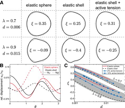 Deformations Of An Elastic Sphere And A Thin Elastic Shell With And