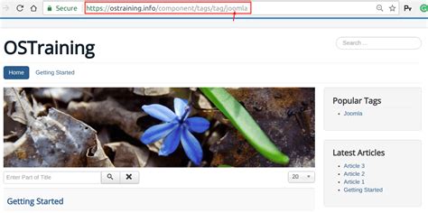 The Complete Guide To Joomla Aliases Joomlashack