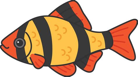 Sumatran Barb Fish Illustration 45594228 Vector Art At Vecteezy