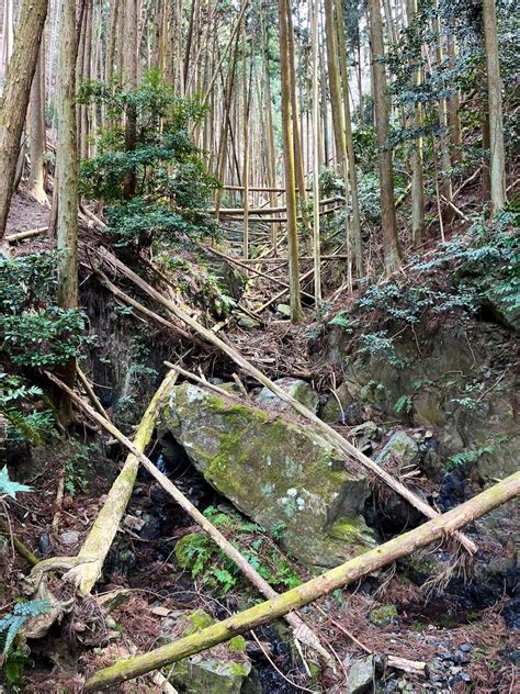 日本庭園メディア『おにわさん』中の人さんの人気ツイート（古い順） ついふぁん！