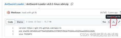 Kali Linux安装中国蚁剑解压出错装入归档文件时出现了一个错误蚁剑代码解压出错 Csdn博客