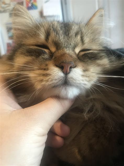 Soft Peanuts Scrolller